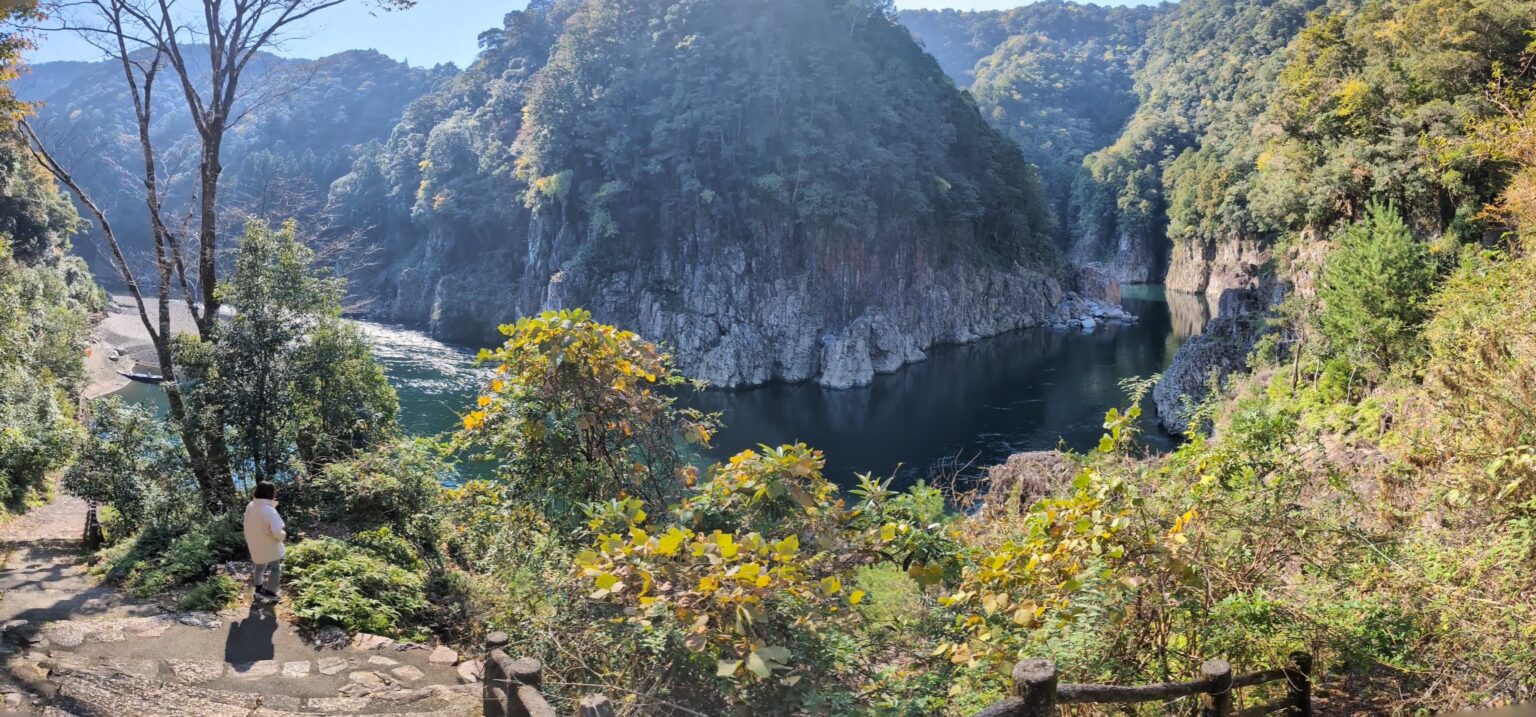 ごきげんよう | 株式会社しそうの森の木