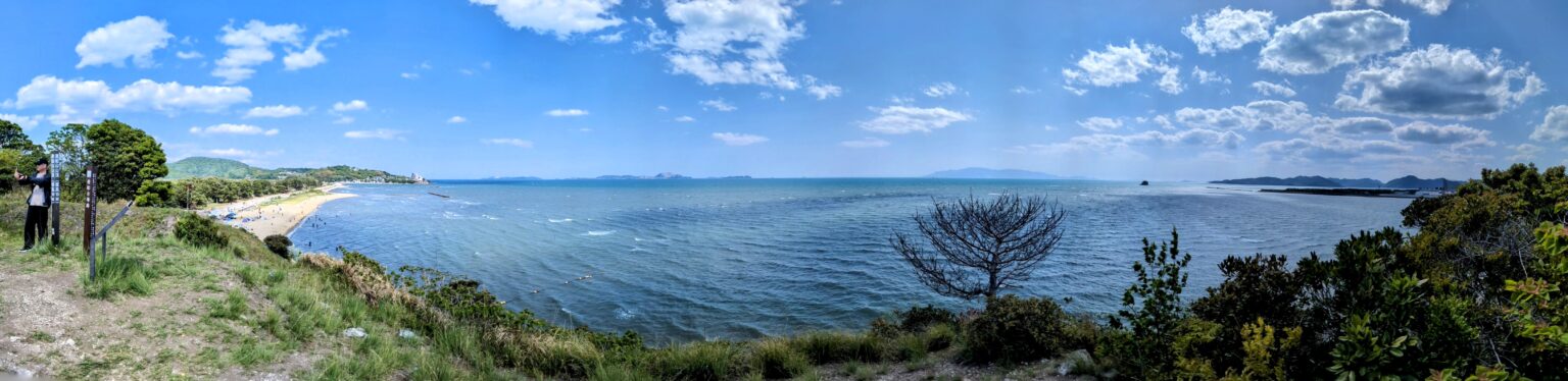 兵庫最低 | 株式会社しそうの森の木